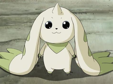 Terriermon Digimon Digital Monsters Cute Cartoon Wallpapers Digimon