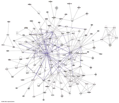 Bayesian Network Demonstrating Overexpressed Genes Defined By Signaling Download Scientific