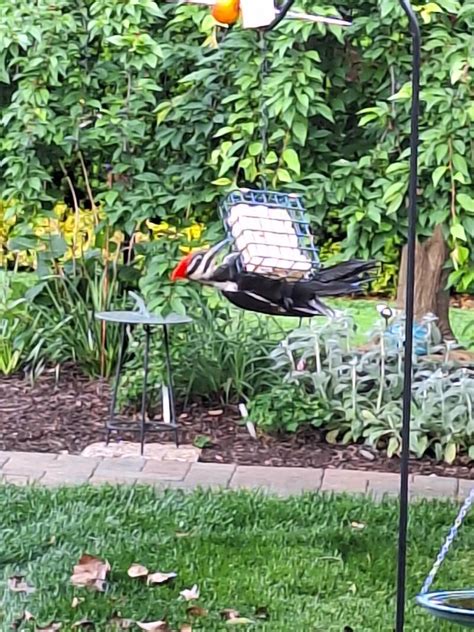 Take Your Best Shot Kathy Roemmel The Republic News