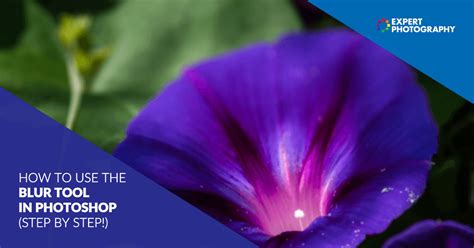 How To Use The Blur Tool In Photoshop