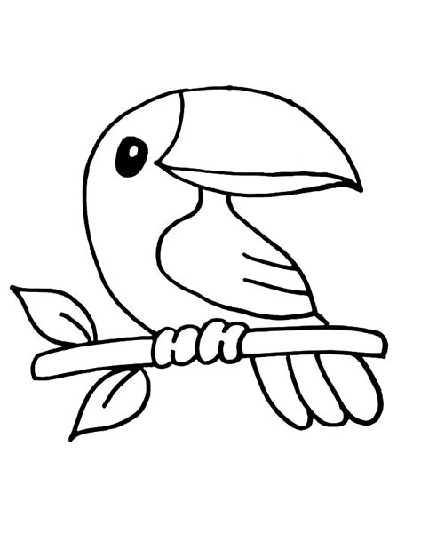 Cute Toucan Bird Coloring Page