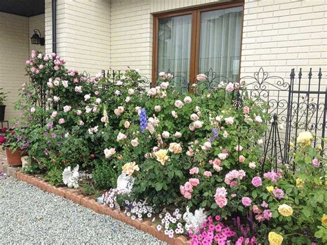 Pin By Peach On Rooftop Design Garden Plants
