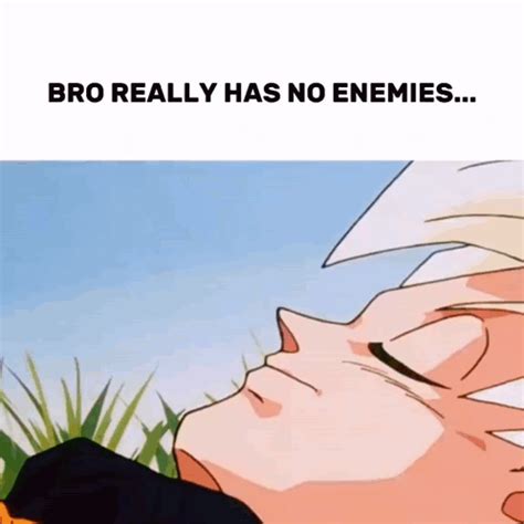 Dragon Ball I Have No Enemies 