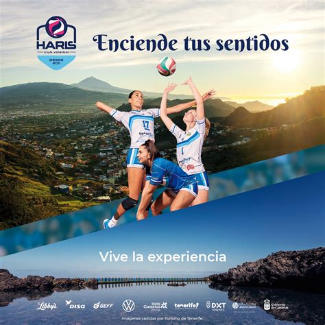 El Tenerife Libbys La Laguna Presentó Su Campaña De Abonos Y Acogerá