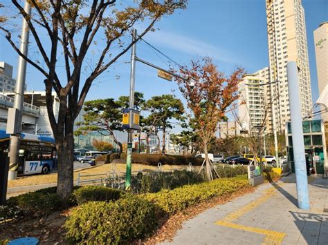 부산 연제구 조경공사 부산 월드컵대로 도시바람길숲 조성공사 거제역 외식1번가