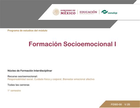 08 FS Programa FormaciÛn Socioemocional I Programa de estudios del