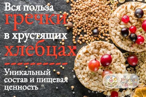 Гречневые хлебцы: польза и влияние на организм