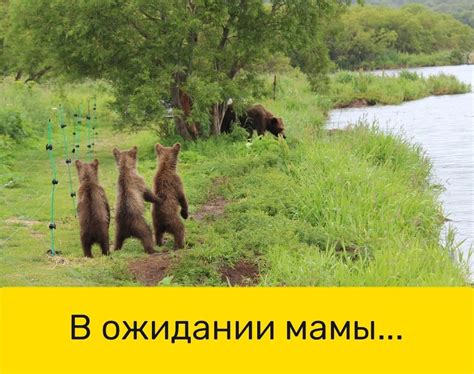 КАКАЯ же я ВКонтакте