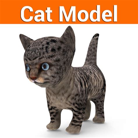 Cute Cat Model Turbosquid 1220890