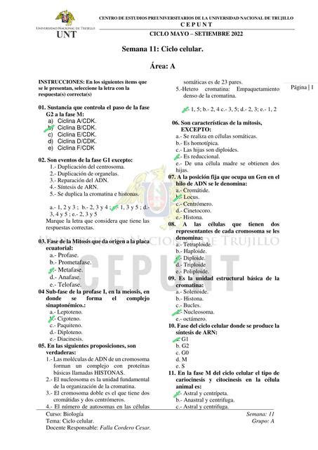 Ciclo celular Gabrielita Nunja Quiñones uDocz