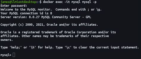 How To Use Docker For Your Mysql Database Earthly Blog