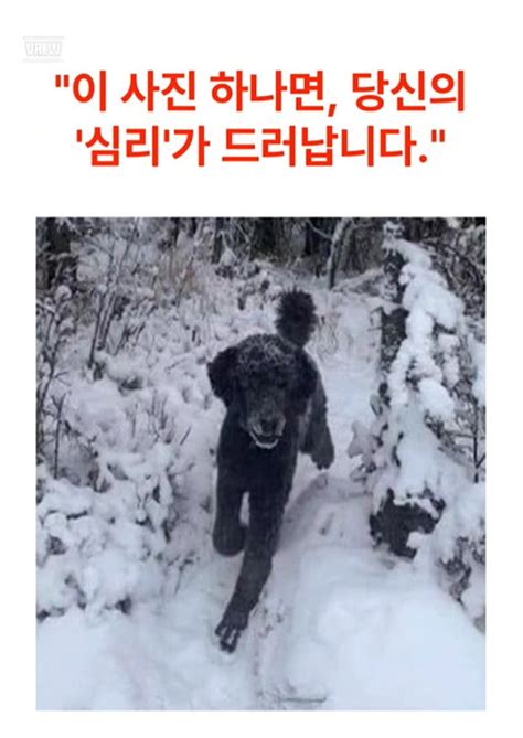 사진 한장으로 당신의 심리를 한번에 알 수 있어요 Youtube