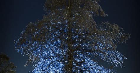 Crystalline Entity Imgur