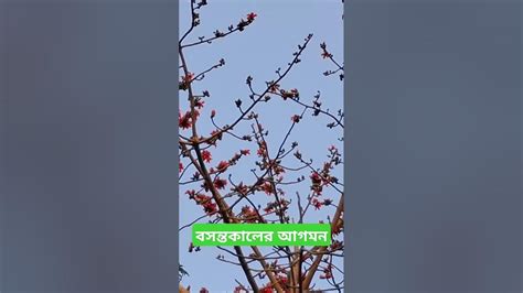 বসন্ত কালের আগমন Youtube
