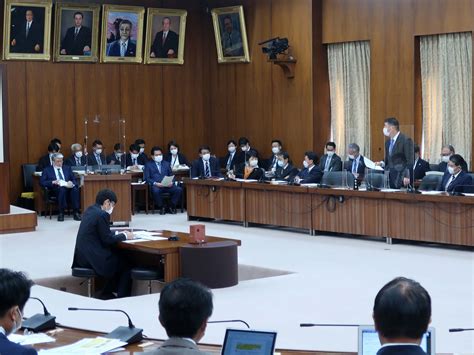 霊感商法等被害救済小委員会、衆議院農林水産委員会、清和政策研究会議員総会、中小企業dxpt、食料・農業・農村基本法検証pt、web3 Ptに