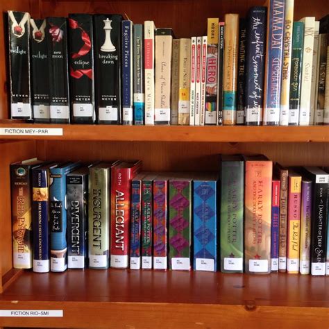 Sex In The Library Books How Our Babes Helped Me Develop A Plan To Handle Mature Content