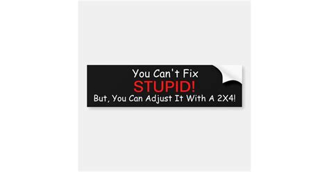 You Cant Fix Stupid But You Can Bumper Sticker Zazzle