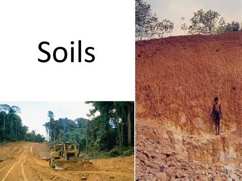 PPT Soils PowerPoint Presentation Free Download ID
