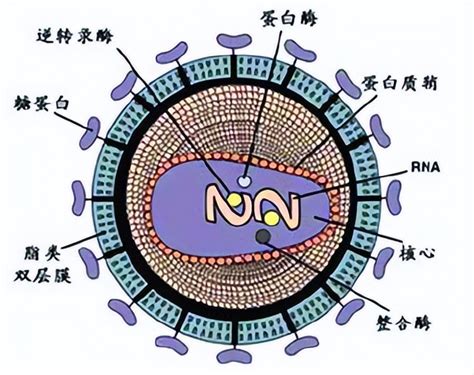 图文详情