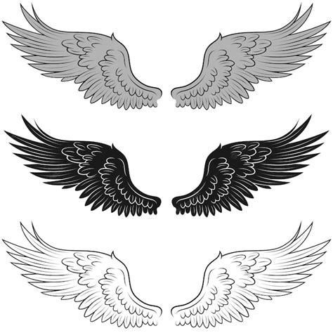 Premium Vector Angel Wings Vector Design