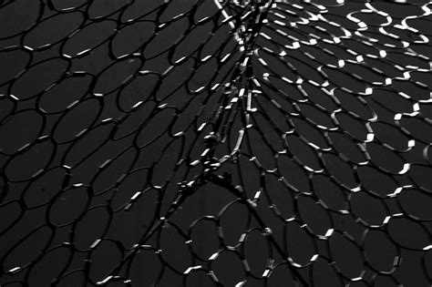 Surface Discretization Chikara Inamura