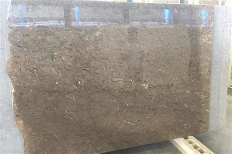 Fossil Marble Hirad Marble