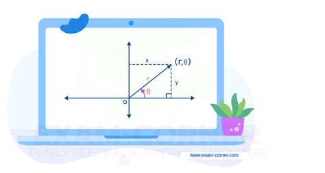 7 Mathematics Coordinates Exam Corner