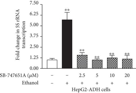 Inhibiting Msk1 Pathway Decreases Alcohol Induced Pol Iii Gene