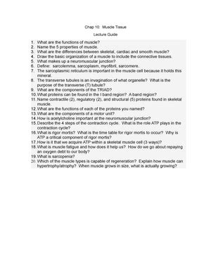 Skeletal System Practice Test What Are The Main Functions Of The
