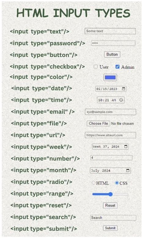 🧠 mastering html input types — a quick visual guide m waseem