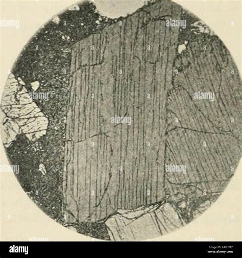 Pyroxene Cleavage 100 Genuine Brunofuga Adv Br
