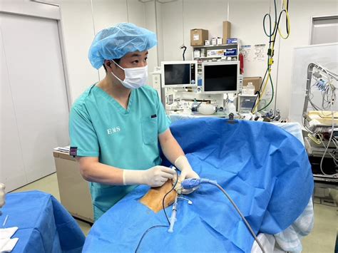 6月より膝の最新治療（ラジオ波焼灼療法）を開始しております。 広域医療法人ems 松岡 救急クリニック Facebook