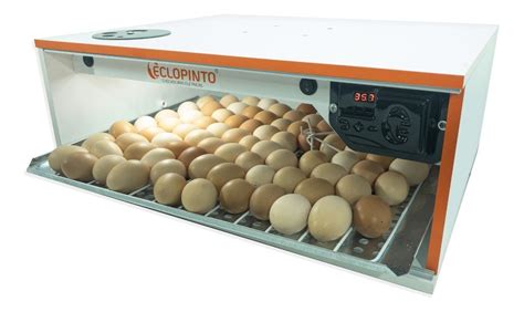 Chocadeira Ovos Ovoscópio Kit Automático De Água Frete grátis