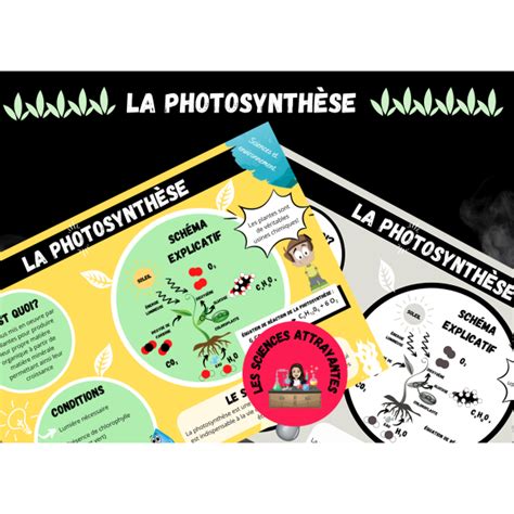 La Photosynthèse