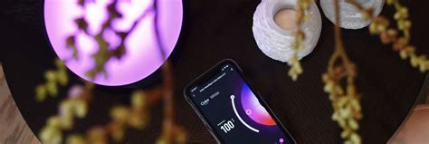 Calex Support