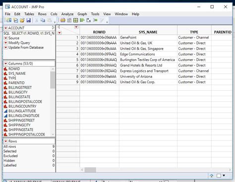 Salesforce Connectivity Within Sas Jmp