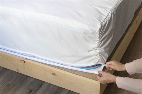 How To Remove Dust Mites In A Mattress