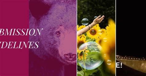 List Publications Curated By Lisa Yates Medium