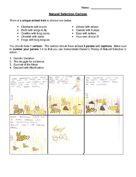 Natural Selection Cartoon 1 Name Natural Selection Cartoon Think Of