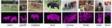 weakly supervised segmentation using image level labels download
