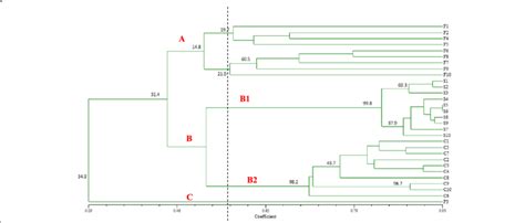 Upgma Dendrogram Of Cluster Analysis Of Rapd Markers Showing The