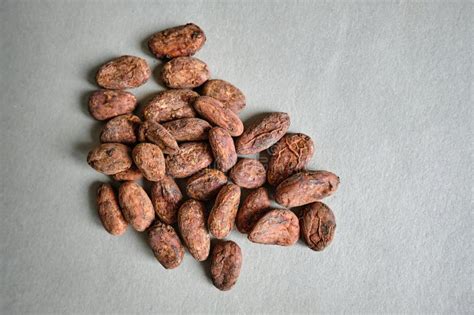 Close Up Image Of A Pile Of Dry Cocoa Beans Seeds Of The Cacao Tree