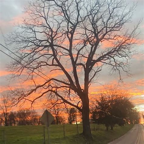 Stream Intro 2022 By Nizzynew Listen Online For Free On Soundcloud