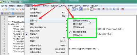 Notepad自动对齐使用空格代替tab并将空格显示为小点notepad设置空格为点 Csdn博客