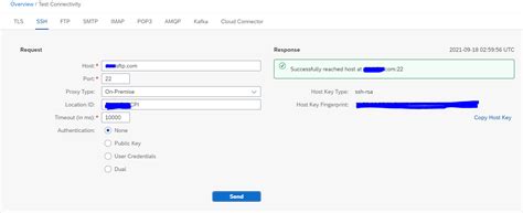 configuration of ftp and sftp adapter in cloud int sap community
