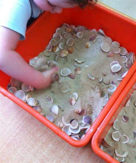Interactive Shells And Sand Activity