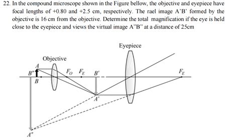 Solved In The Compound Microscope Shown In The Figure Chegg