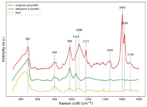 Representative Raman Spectra Of Silica Phytoliths Isolated From