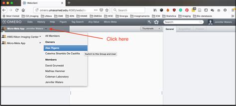 Launching Micro Meta App MicroMetaApp 0 0 26 Documentation