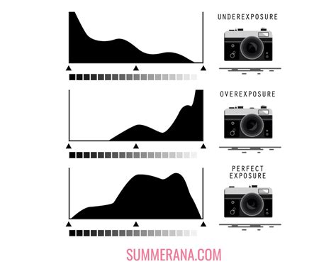 How To Read Your Histogram And Get Perfect Exposure Summerana